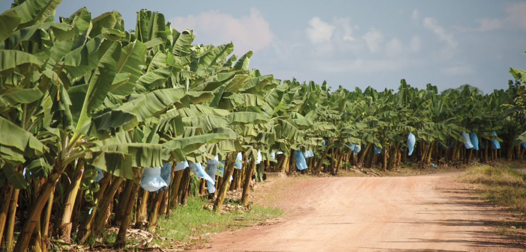 Belize - Costa Corporate Services Limited